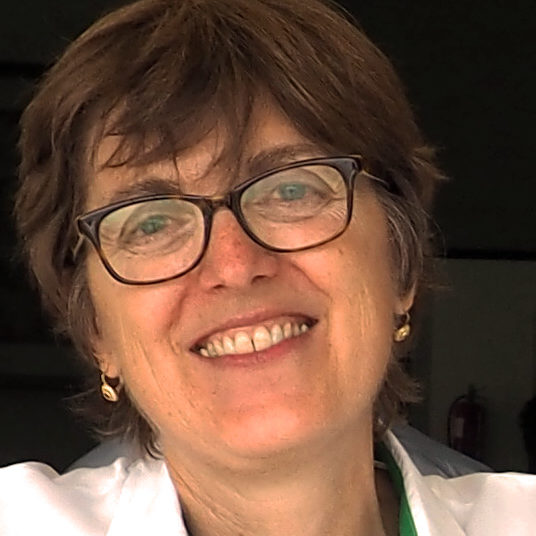 Board of Directors | Transform International